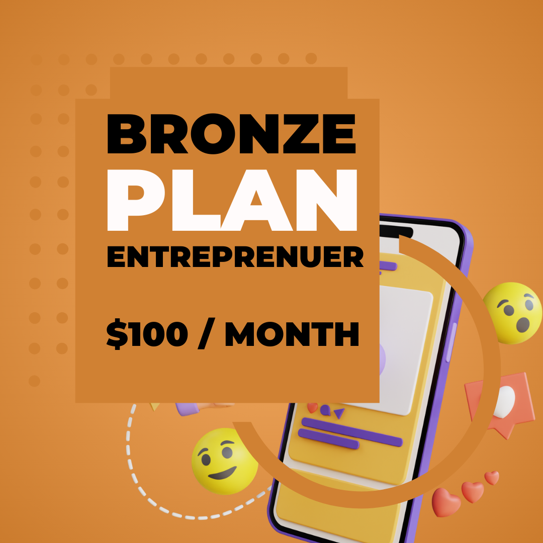 Bronze Plan - ZARFY Media | Digital Marketing Agency